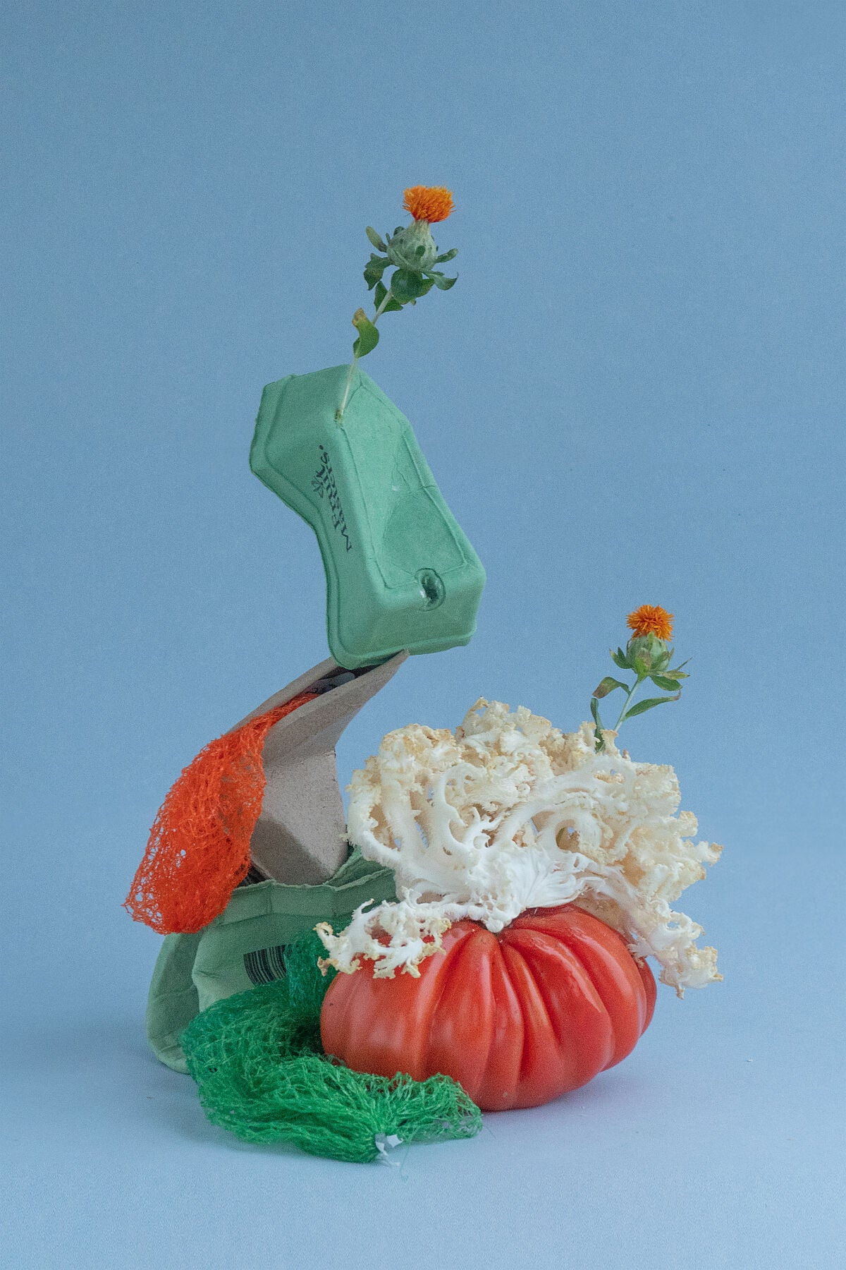 Garbage and Nature - Рolypropylene (PP) net - Nataliia Hresko – Artdoc ...